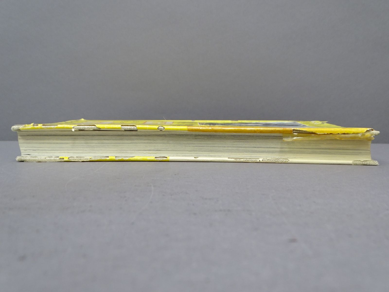 Railroad Book - The Age of Steam: a Classic Album of American ...