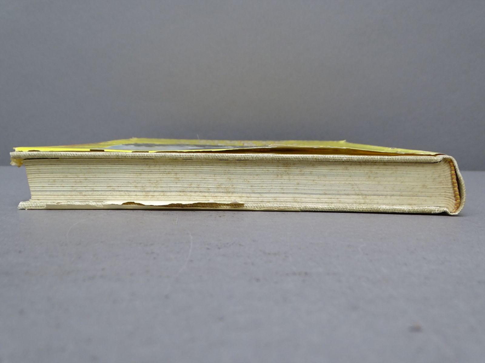 Railroad Book - The Age of Steam: a Classic Album of American ...