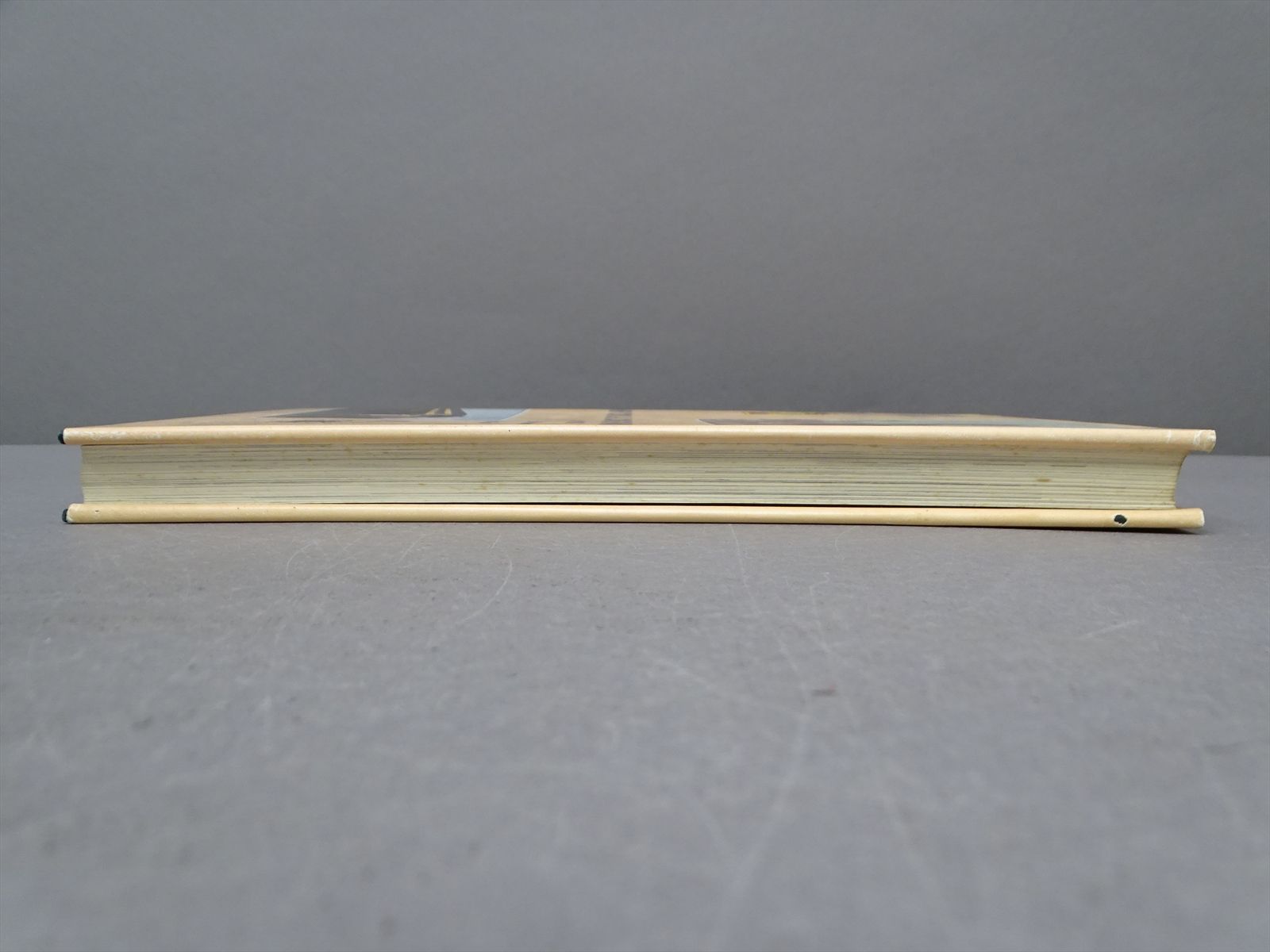 Railroad Book - The Unique New York & Long Branch - Don Wood, Joel ...