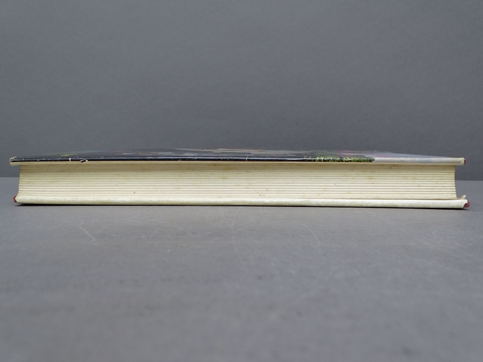 Railroad Book - The Erie Lackawanna Story - Paul Carleton - 479 Pages