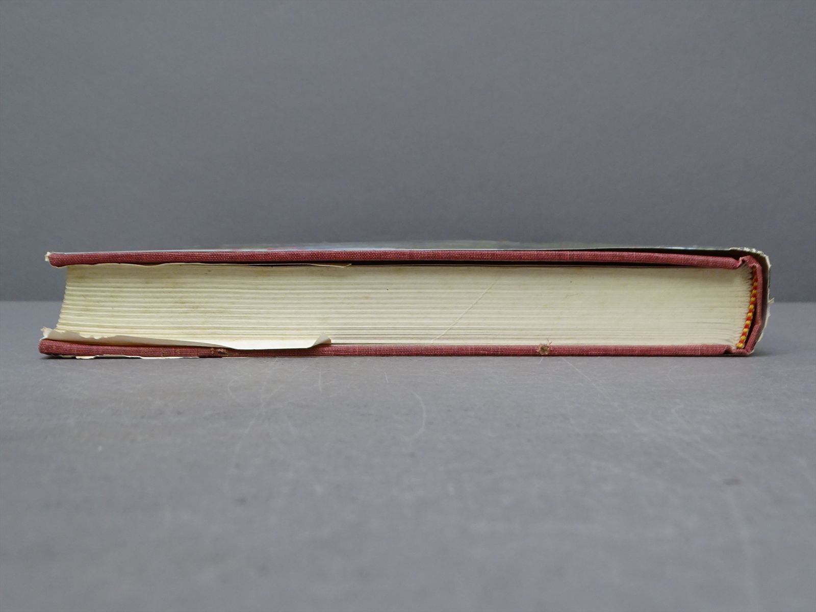 Railroad Book - The Erie Lackawanna Story - Paul Carleton - 479 Pages