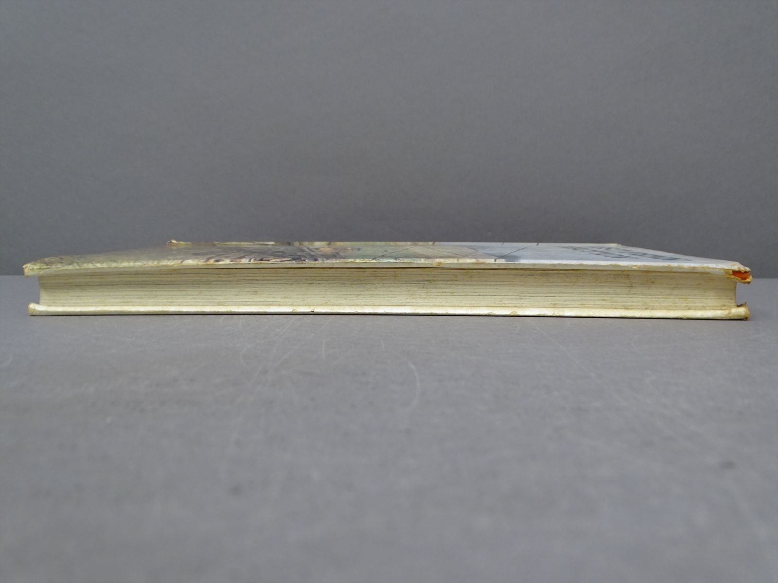 Railroad Book - West Penn Traction - Joseph M. Canfield - 218 Pages