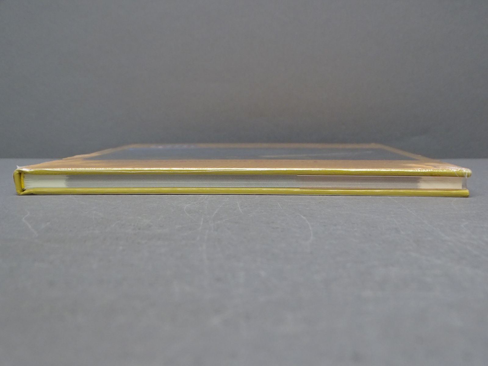 Railroad Book - UP (Union Pacific) Color Guide to Freight and Passenger ...