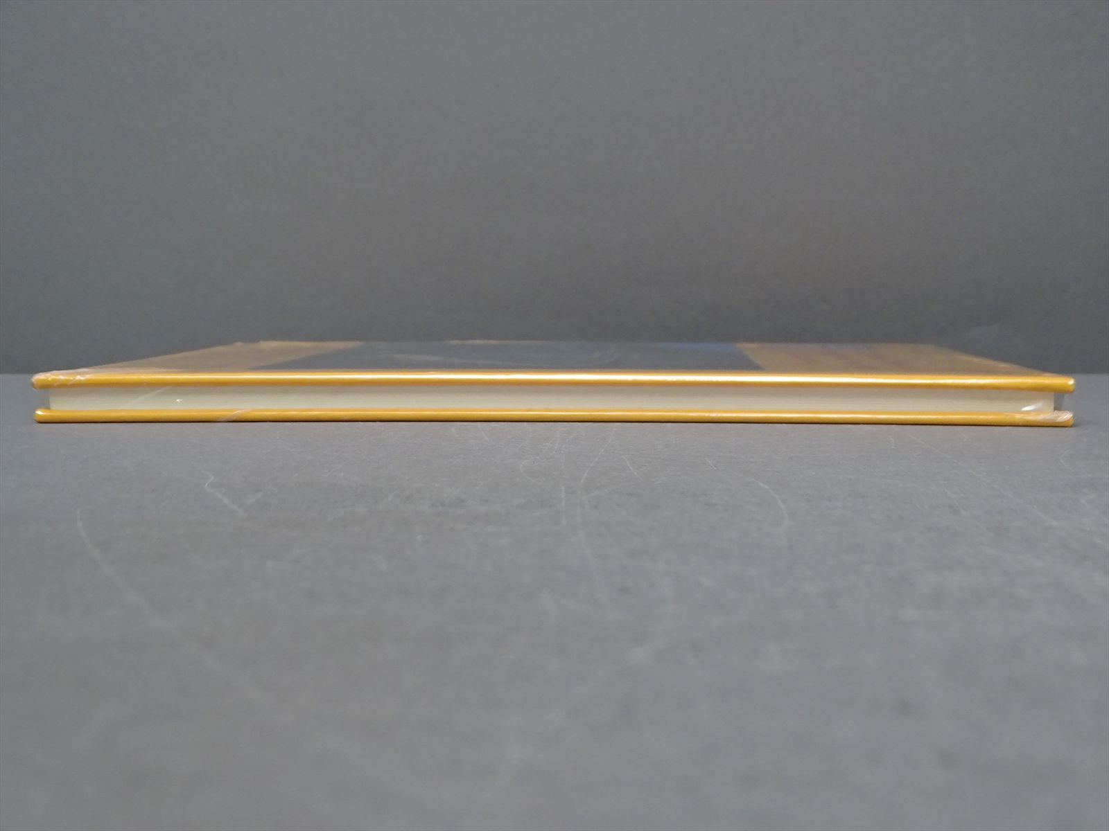 Railroad Book - UP (Union Pacific) Color Guide to Freight and Passenger ...