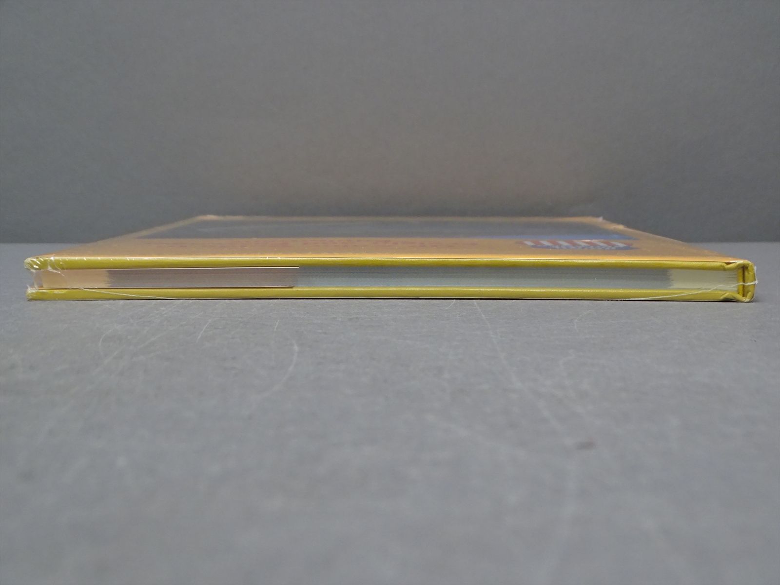 Railroad Book - UP (Union Pacific) Color Guide to Freight and Passenger ...