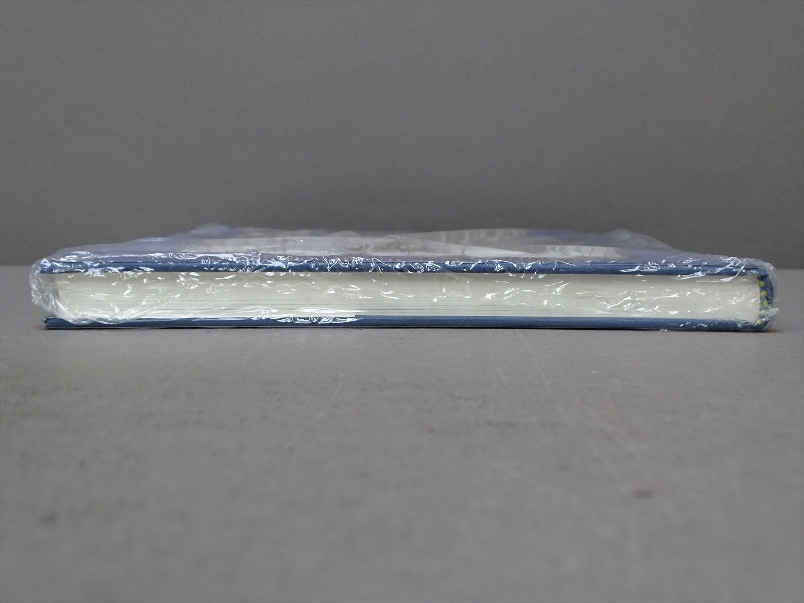 Railroad Book: Logging Railroads of the Blue Ridge and Smoky Mountains ...