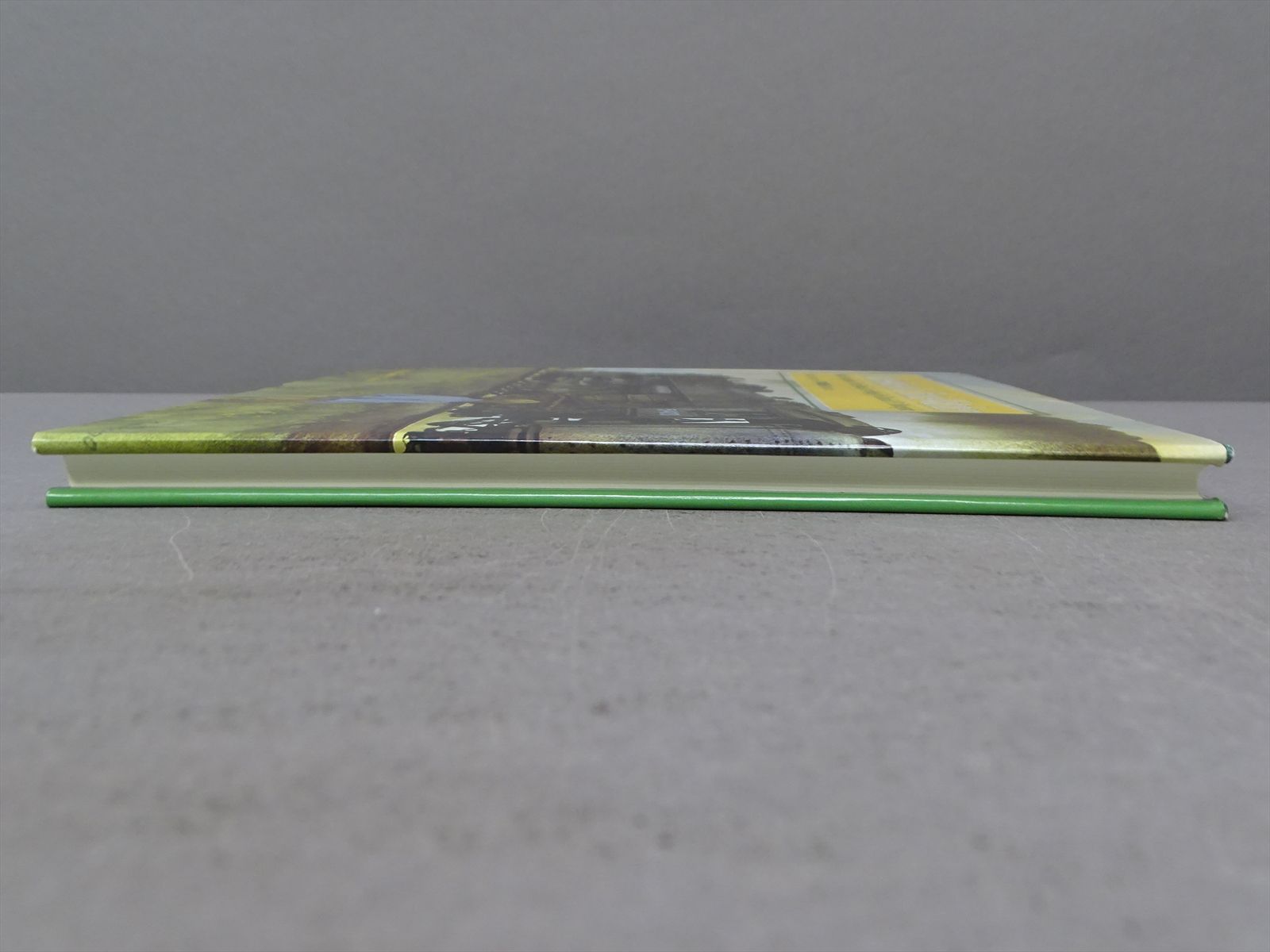 Railroad Book: Confessions of a Train-Watcher - David Morgan - 160 pgs