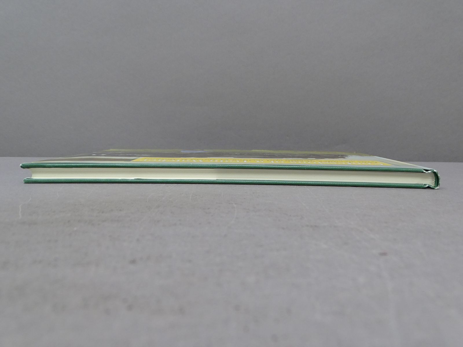 Railroad Book: Confessions of a Train-Watcher - David Morgan - 160 pgs