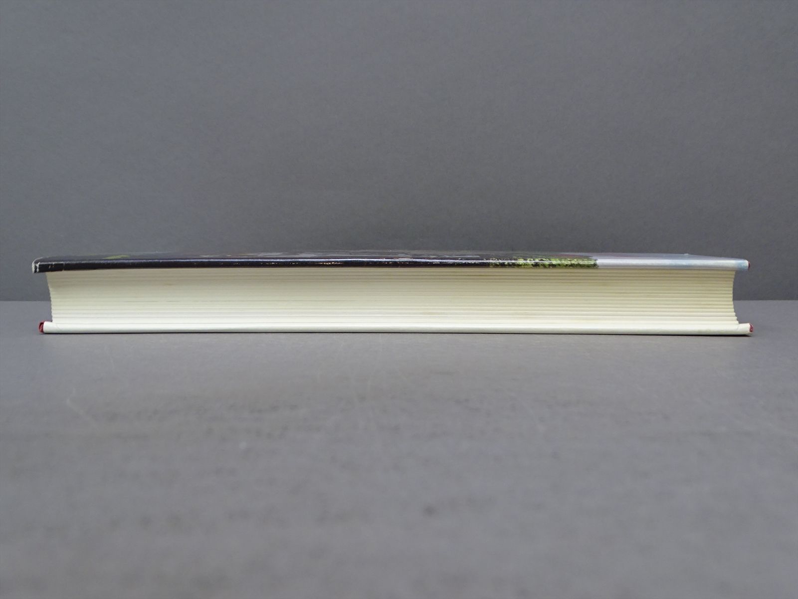 Railroad Book - The Erie Lackawanna Story - Paul Carleton - 479 Pages