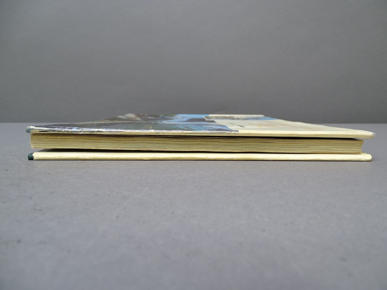 Railroad Book - Locomotive 4501 - David P Morgan - 127 Pages