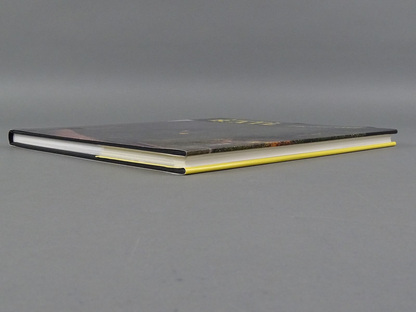 Railroad Book - America's Rail Pictorial - Russ Porter - 152 pages