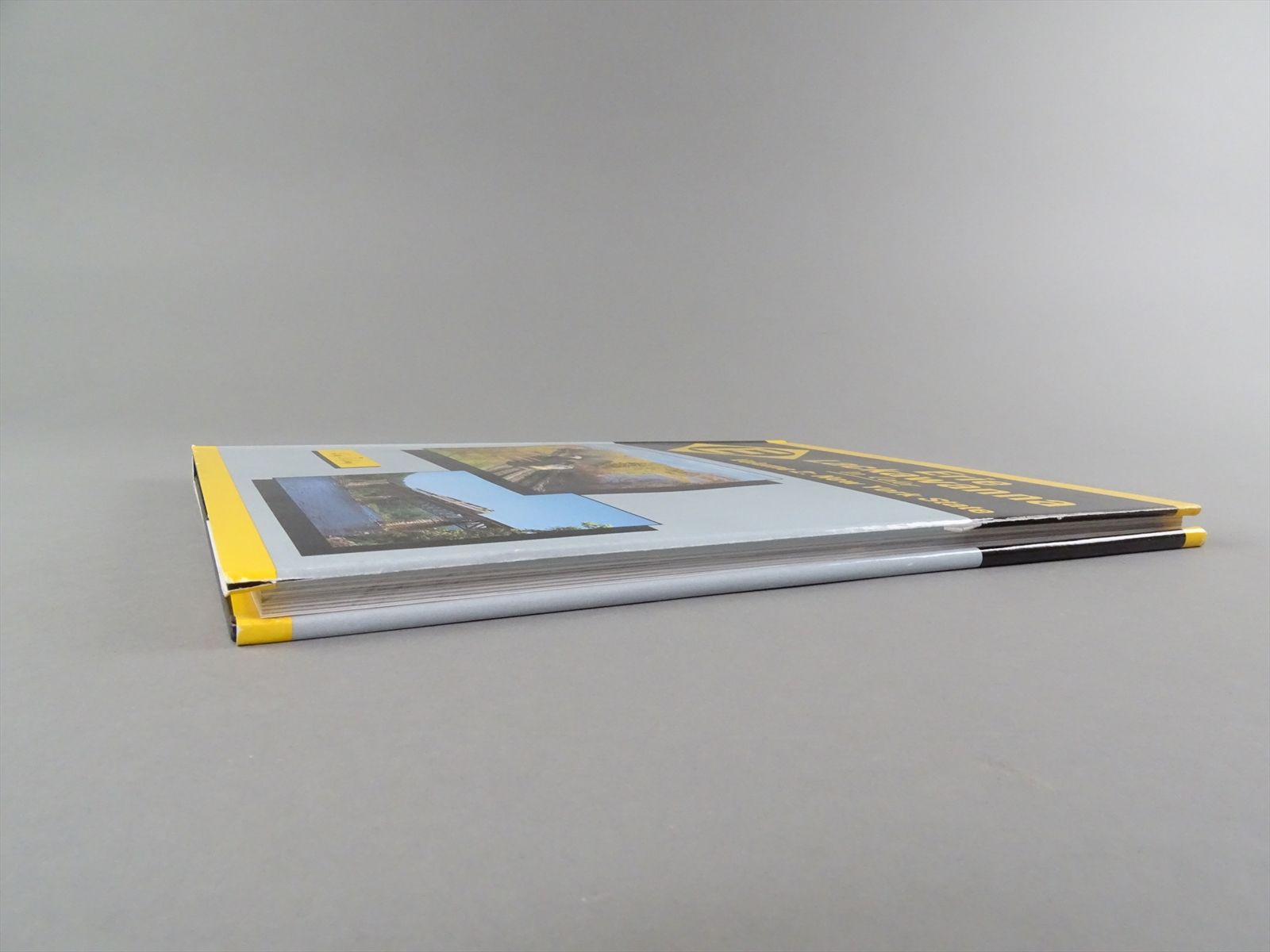 Railroad Book - Erie Lackawanna In Color Vol. 2 - Larry DeYoung - 128 Pages