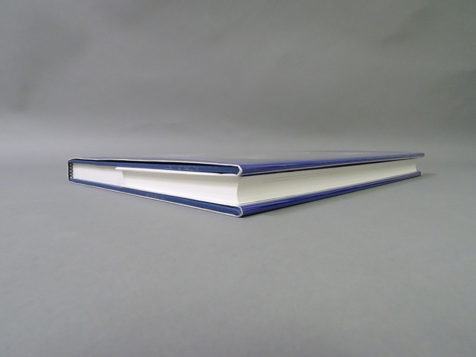 Railroad Book - Logging Railroads of the Blue Ridge and Smoky Mountains ...