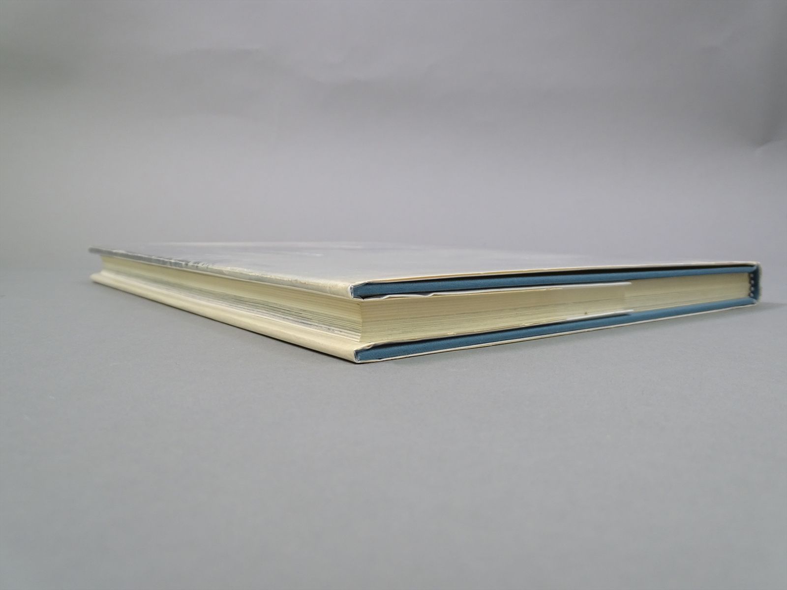 Railroad Book - Historic Alpine Tunnel - Dow Helmers - 208 pages