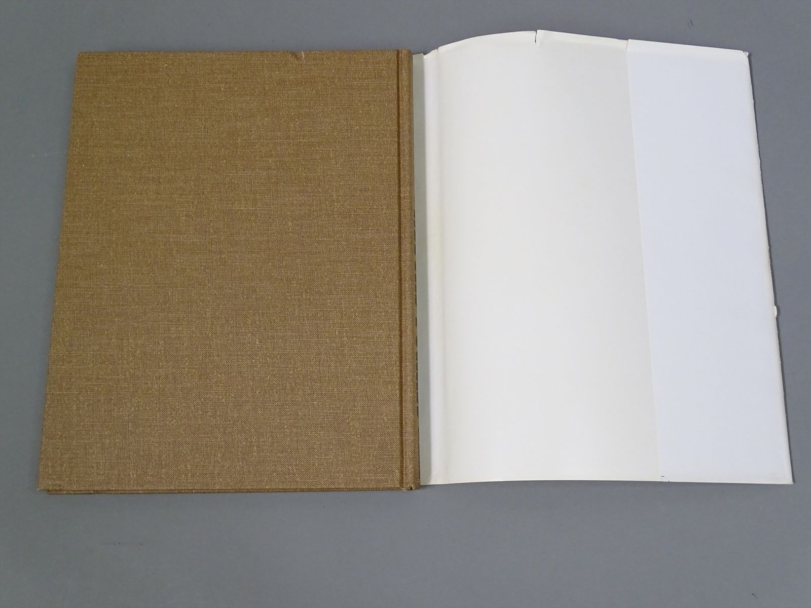 Railroad Book - Historic Alpine Tunnel - Dow Helmers - 208 pages