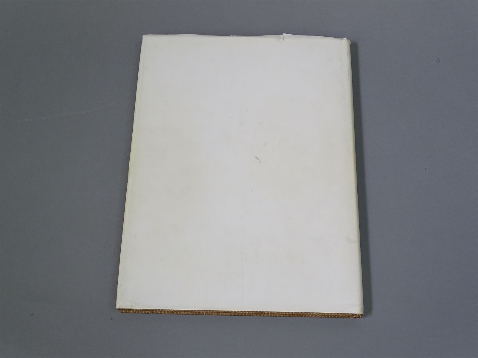 Railroad Book - Historic Alpine Tunnel - Dow Helmers - 208 pages