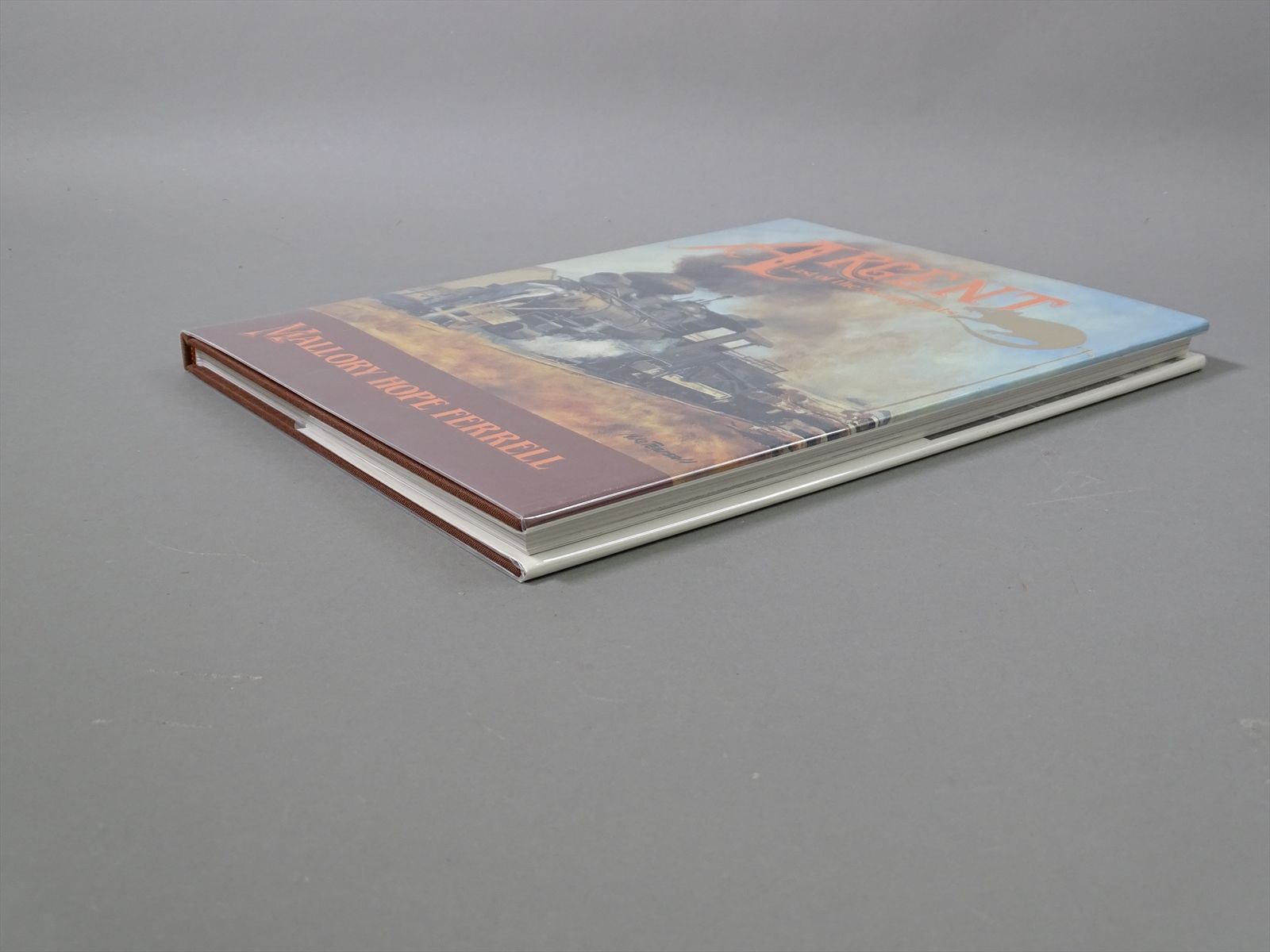 Railroad Book - Argent Last of the Swamp Rats - Mallory Hope Ferrell ...