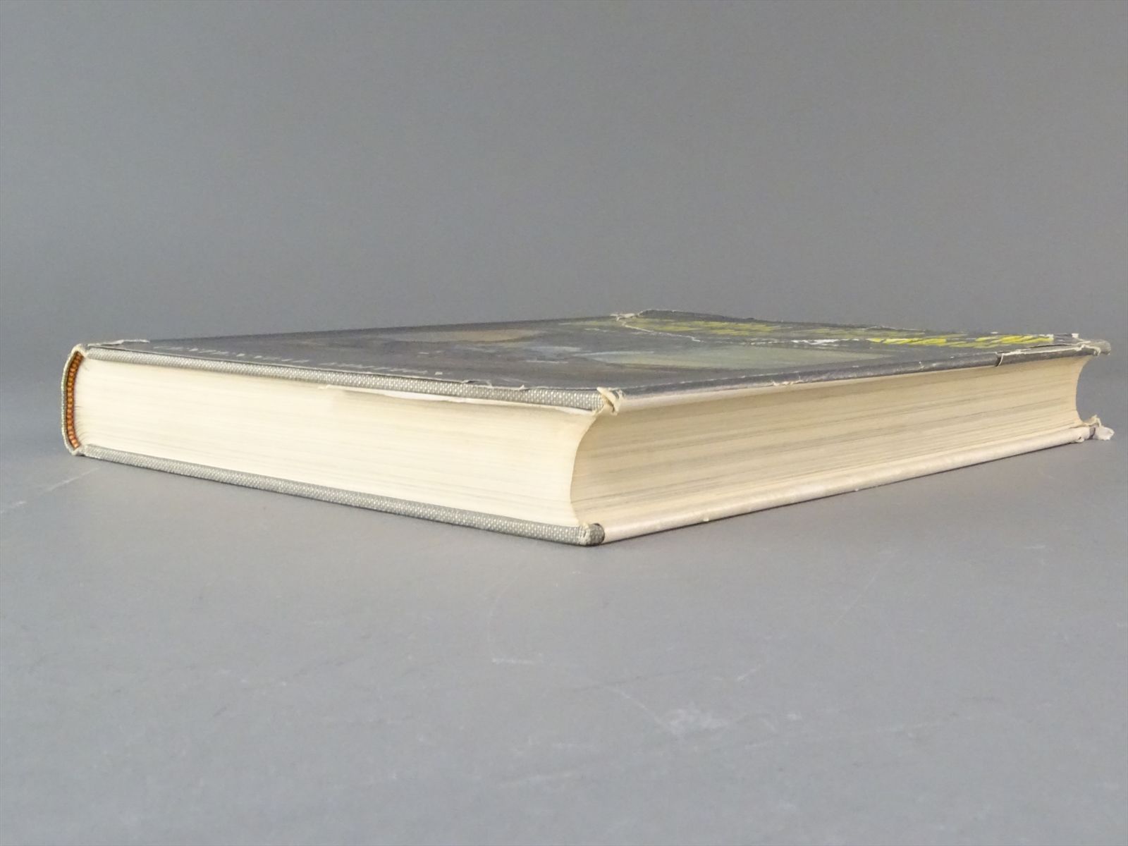 Railroad Book - The Central Pacific & The Southern Pacific Railroads ...