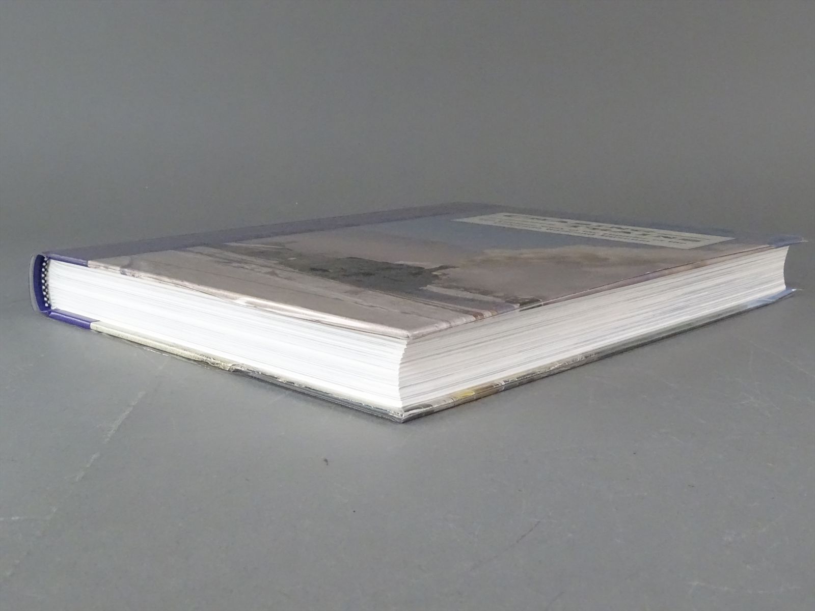 Railroad Book - Chasing trains - Robert Richardson - 432 pages