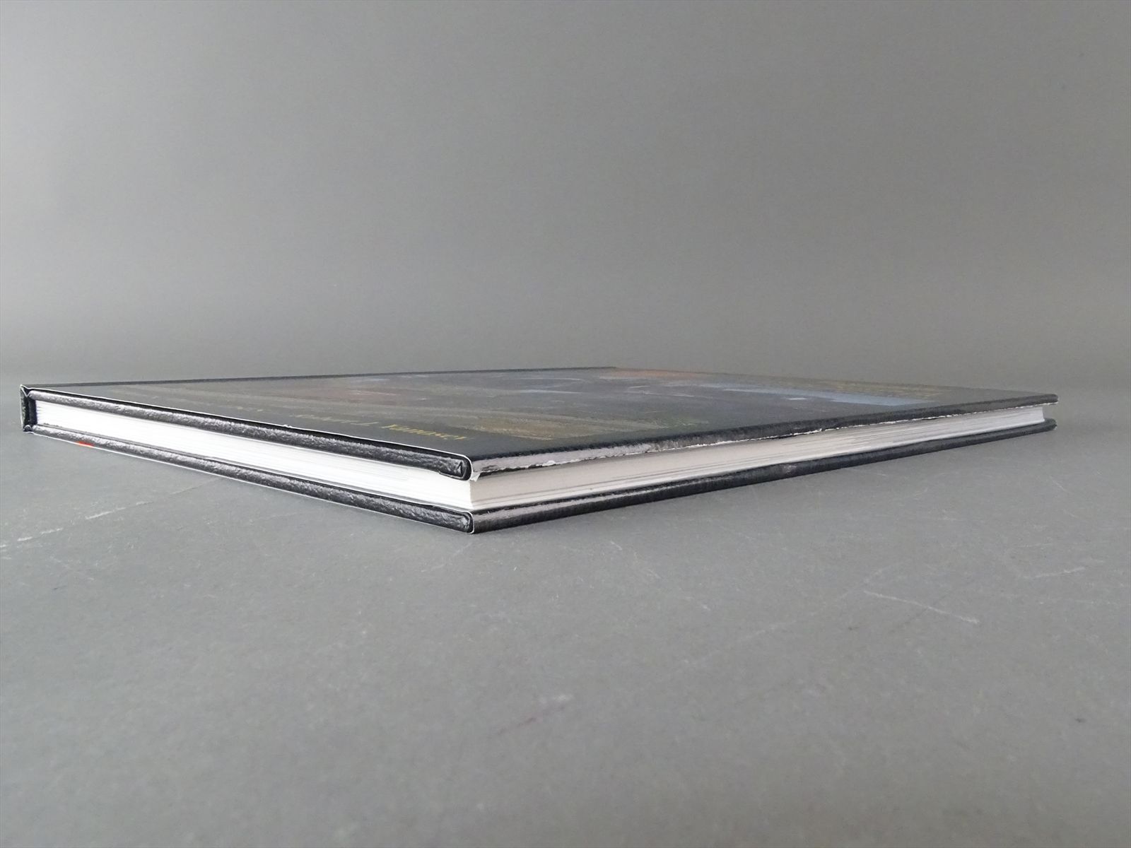 Railroad Book - Trackside on the PRR North of Washington, DC - Murray ...