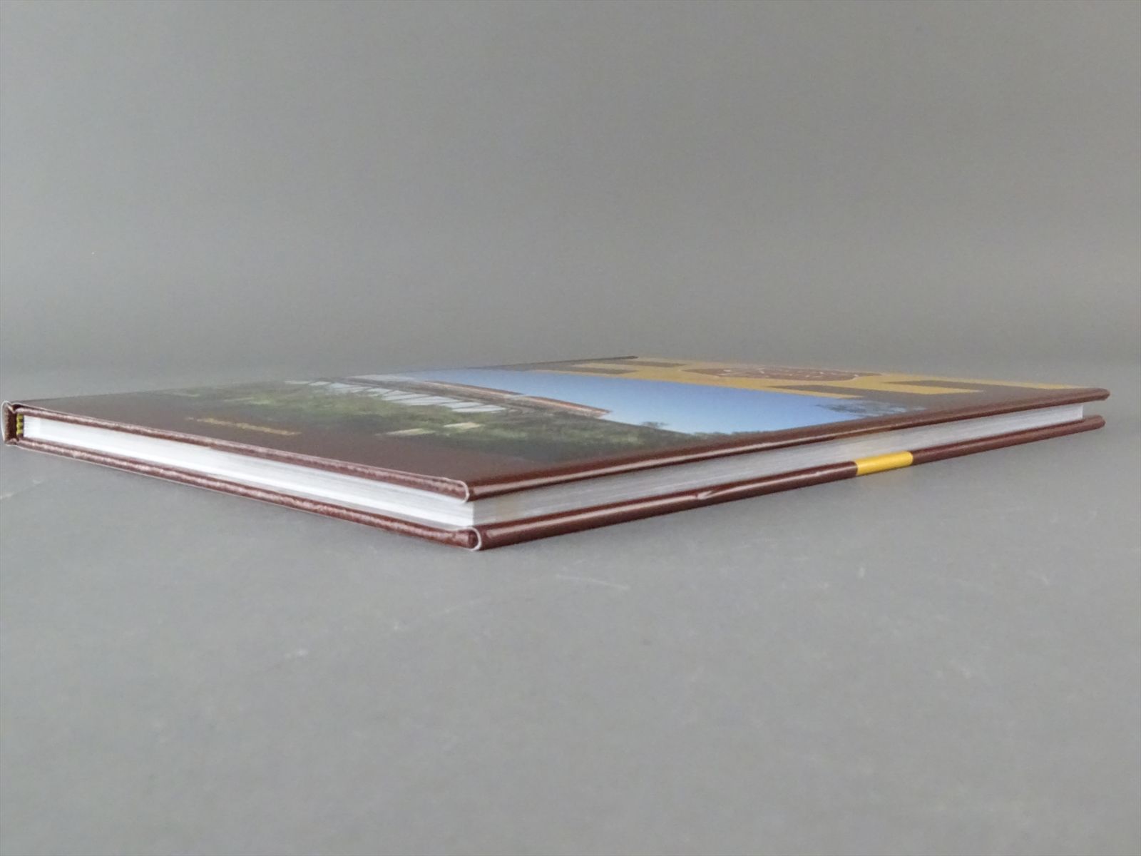 Railroad Book - Wisconsin Central In Color - Dean Freimund - 128 pages