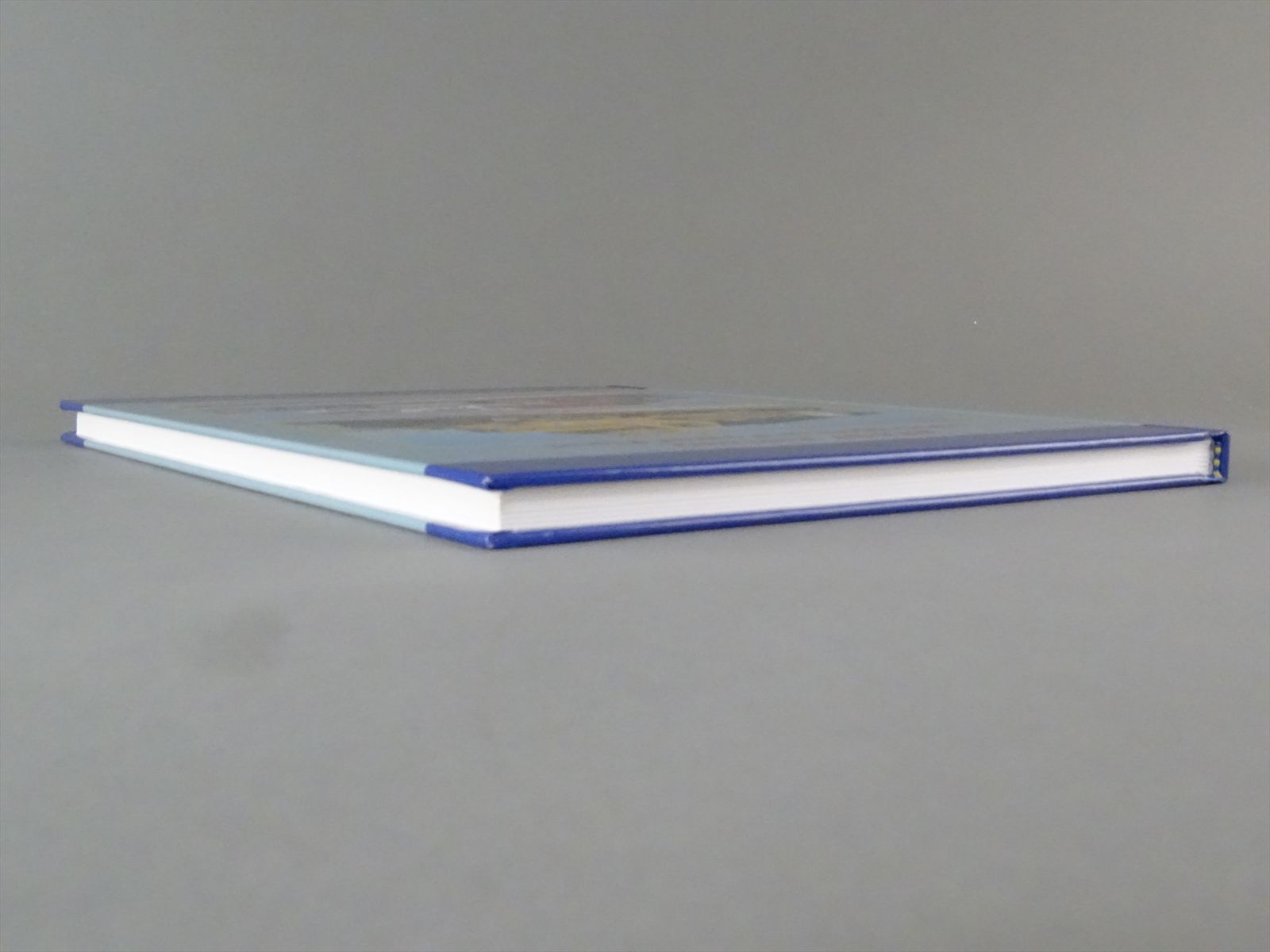 Railroad Book - AT&SF Railway 1995 Motive Power Fleet - Robert Del ...