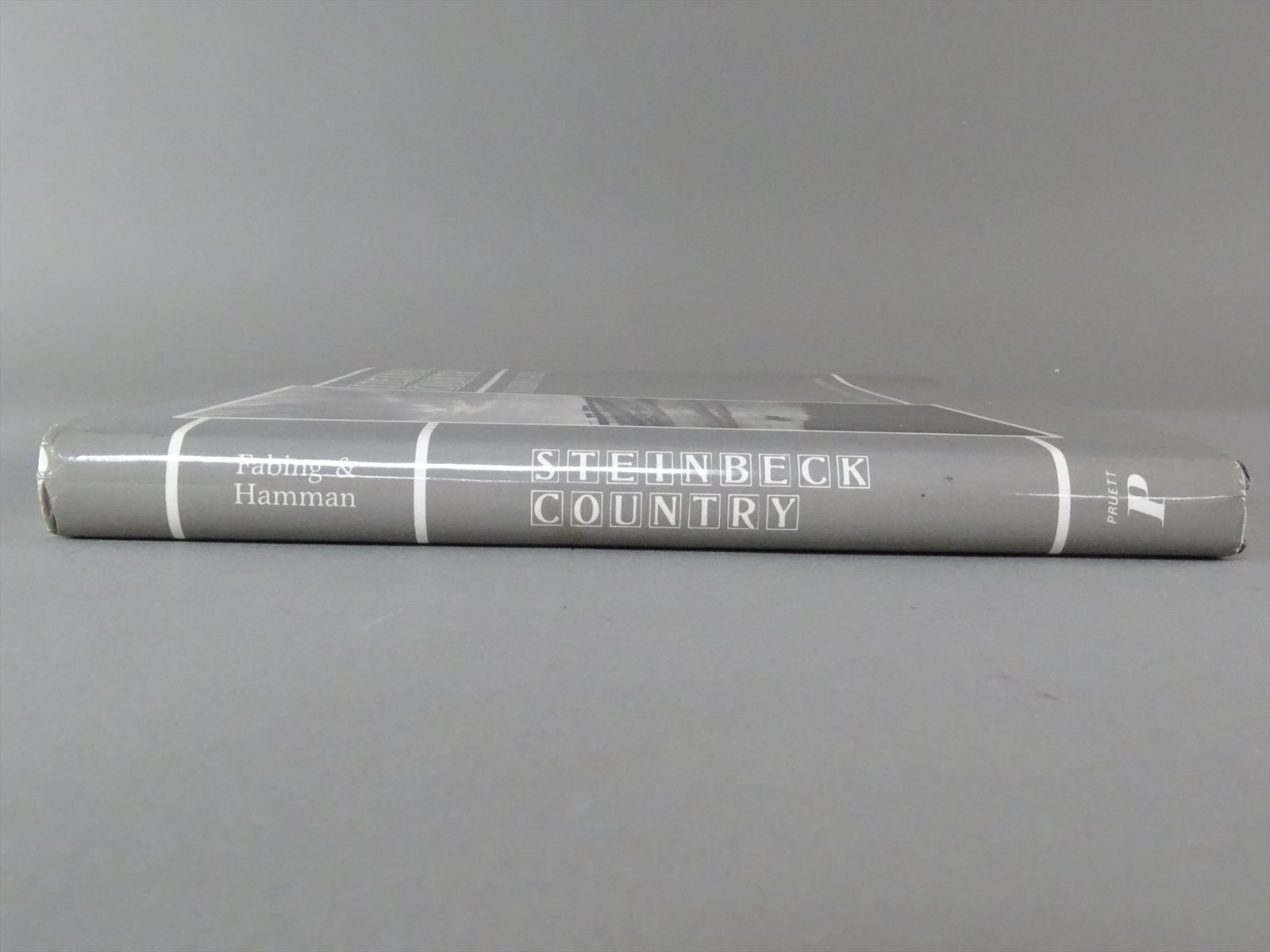 Railroad Book - Steinbeck Country Narrow Gauge - Fabing & Hamman - 236 ...