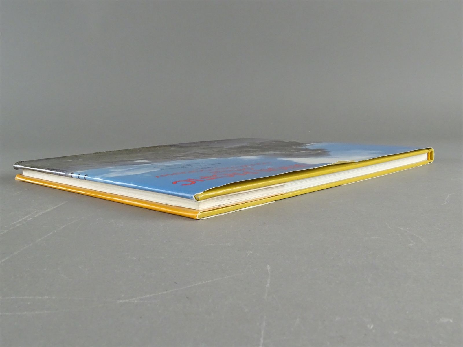 Railroad Book - Union Pacific Official Color Photography Book I ...