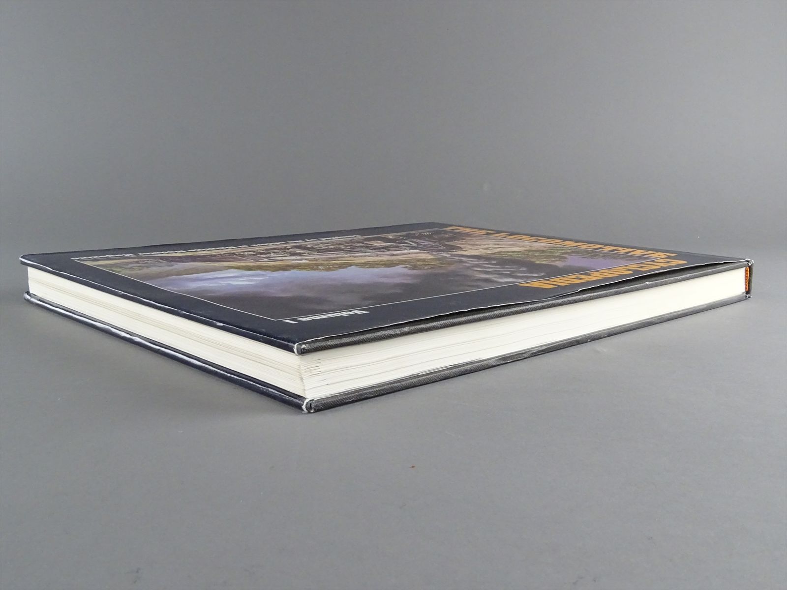 Railroad Book - The Locomotive Cyclopedia Vol. 1 - Robert L. Hundman ...