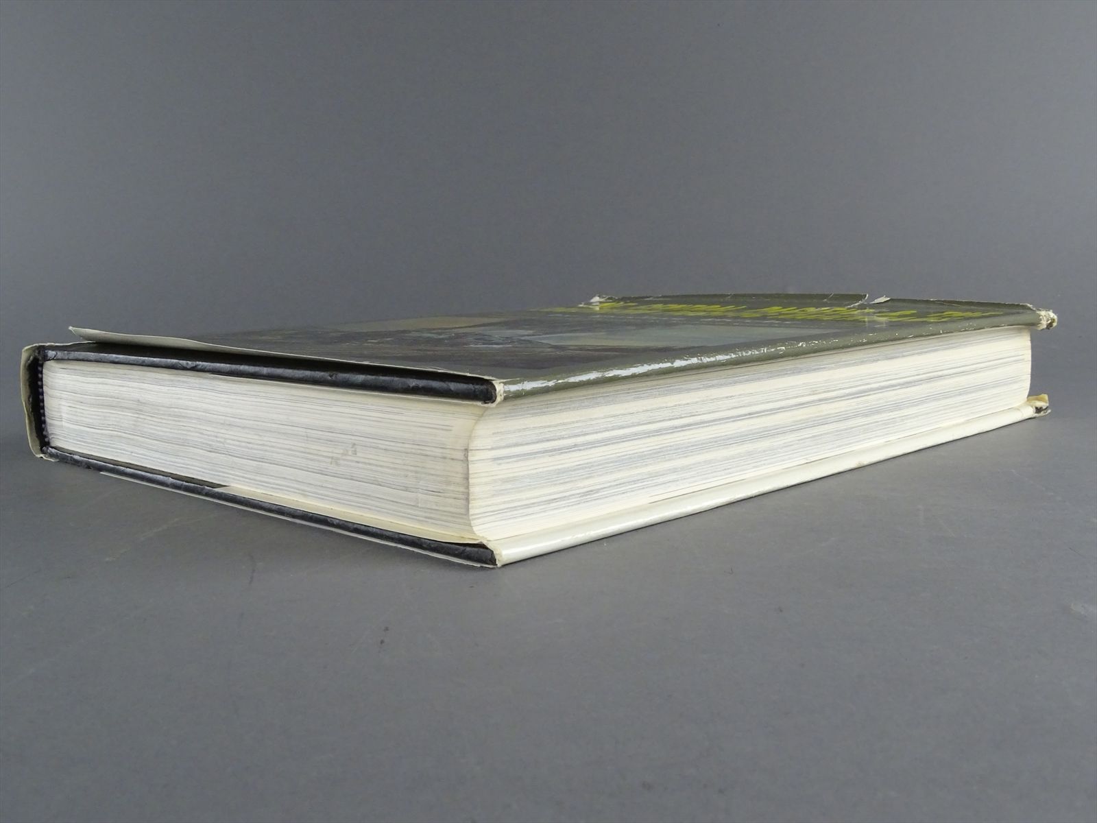 Railroad Book - The Central Pacific & The Southern Pacific Railroads ...
