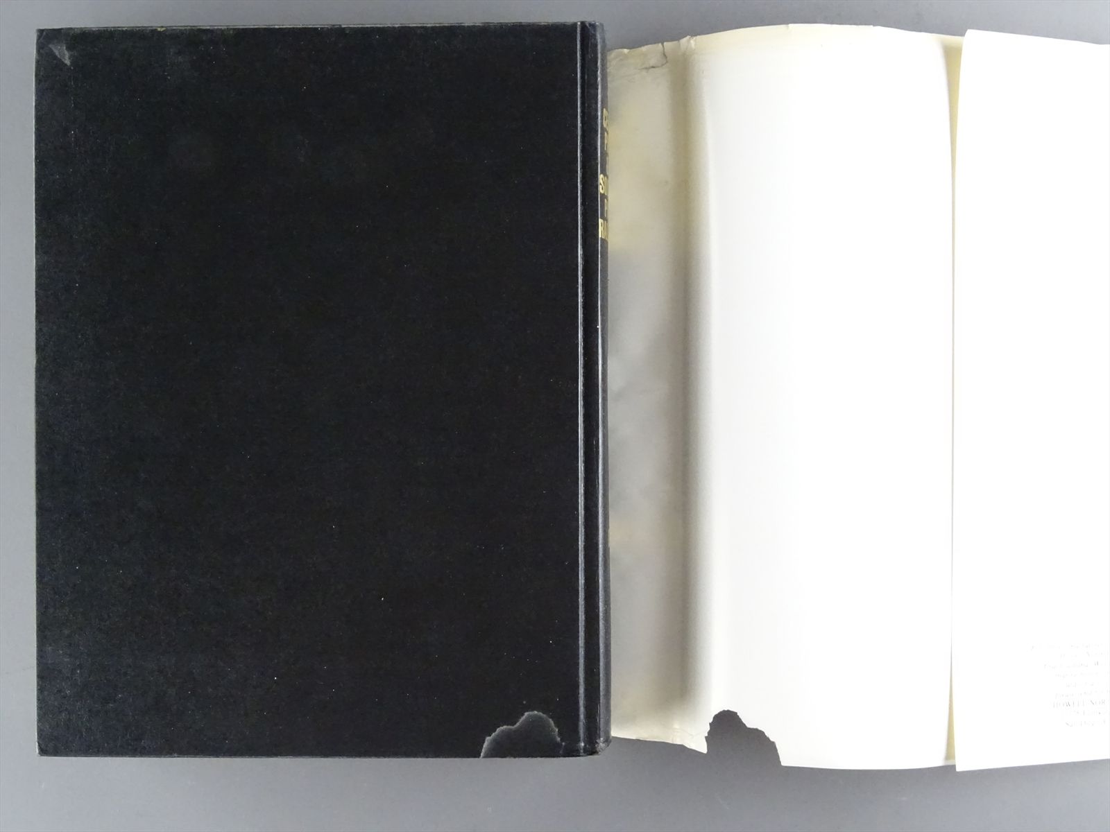 Railroad Book - The Central Pacific & The Southern Pacific Railroads ...