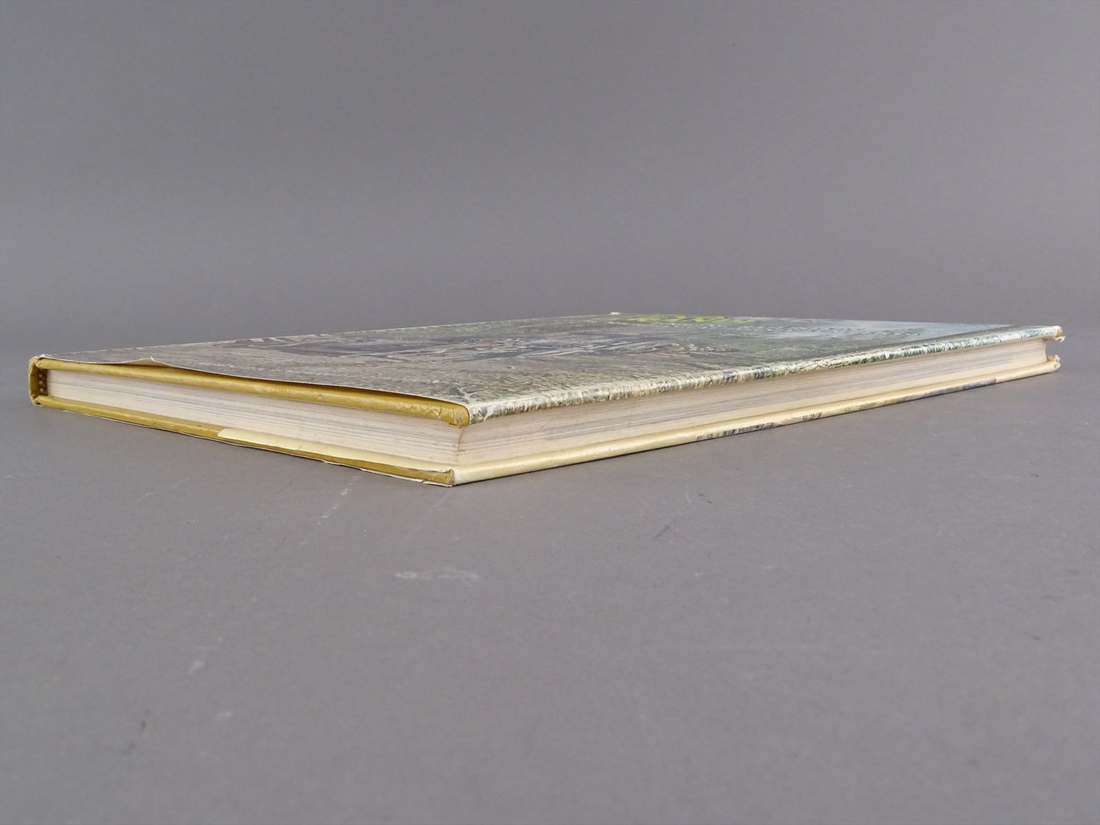 Railroad Book: Pino Grande - Logging Railroads - R. Polkinghorn - SIGNED