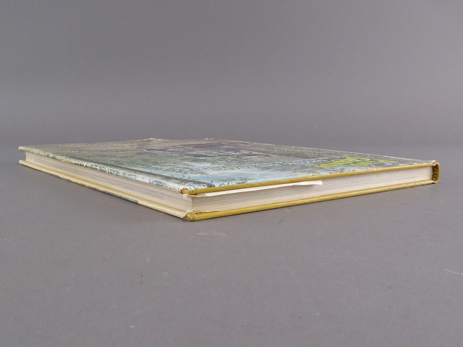 Railroad Book: Pino Grande - Logging Railroads - R. Polkinghorn - SIGNED