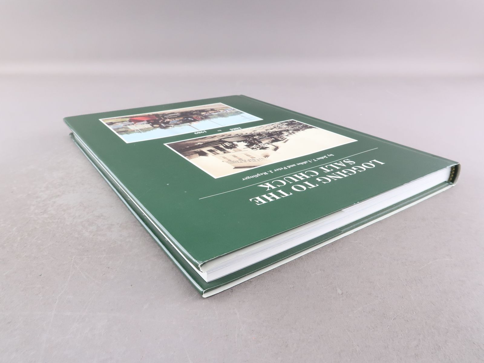 Railroad Book - Logging to the Salt Chuck - John T. Labbe & Peter J ...